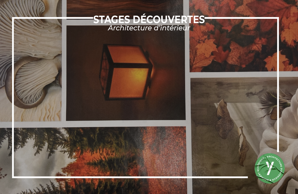 Stage découvertes : plongez dans l'univers des archi'